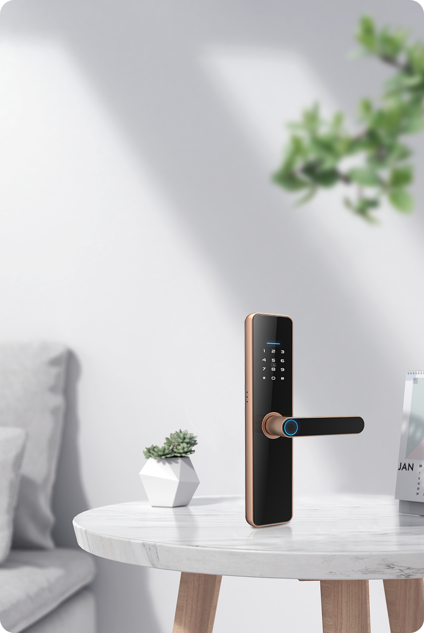 Locstar Smart Door Lock:Secure,Intelligent,Convenient Home Door Locks